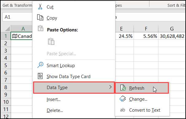 How To Use The Built In Geography Feature In Microsoft Excel Thefastcode