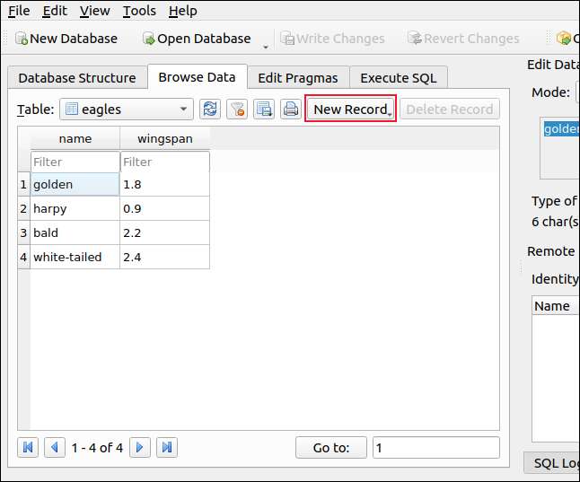 How To Use Db Browser For Sqlite On Linux Thefastcode