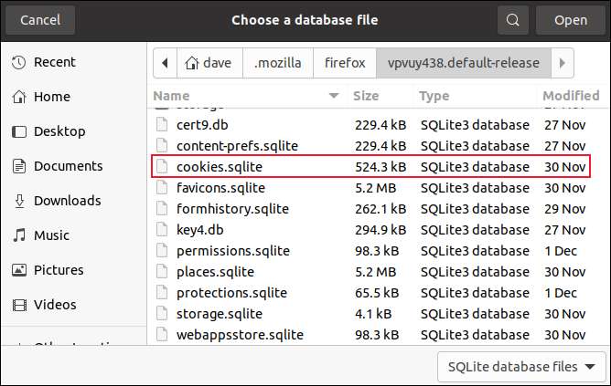 How To Use Db Browser For Sqlite On Linux Thefastcode