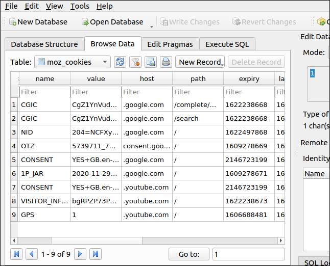 How To Use Db Browser For Sqlite On Linux Thefastcode